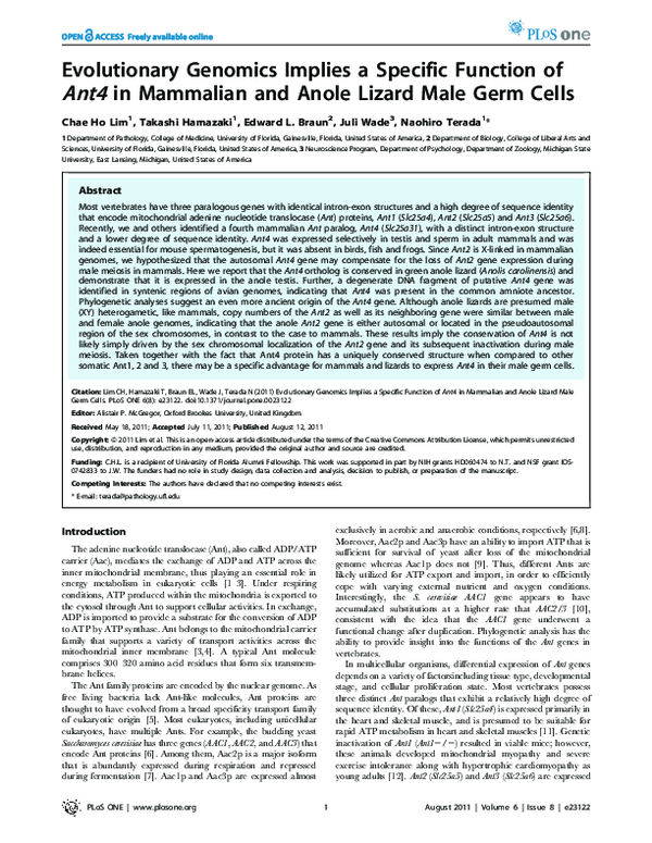 (PDF) Evolutionary genomics implies a specific function of Ant4 in ...