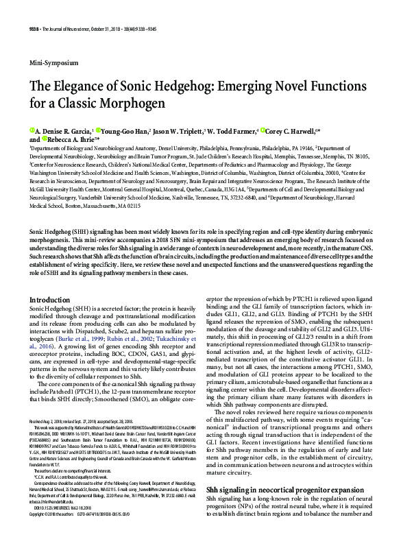 (PDF) The Elegance of Sonic Hedgehog: Emerging Novel Functions for a ...