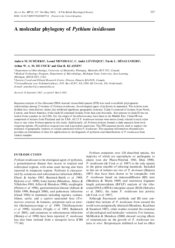 (PDF) A molecular phylogeny of Pythium insidiosum