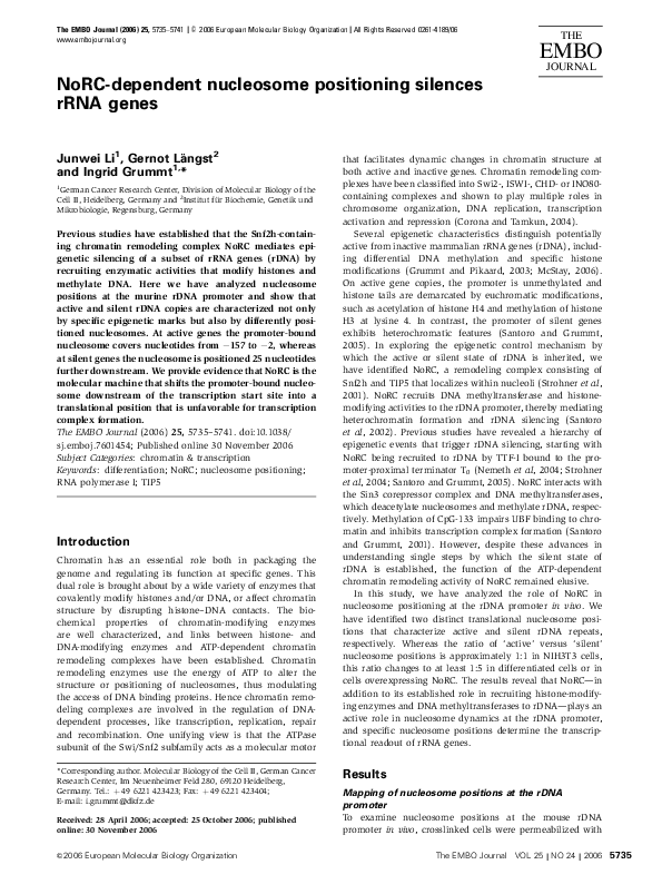 (PDF) NoRC-dependent nucleosome positioning silences rRNA genes ...