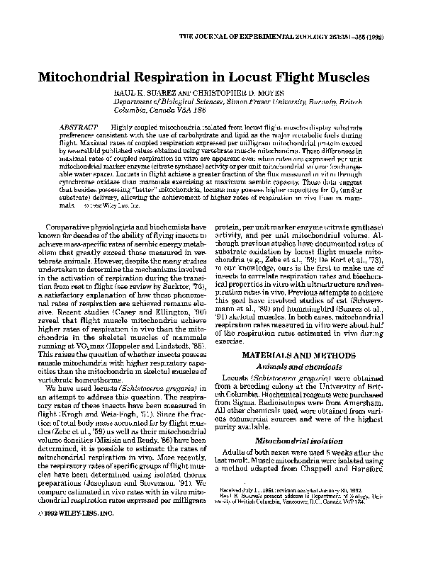 (PDF) Mitochondrial respiration in locust flight muscles