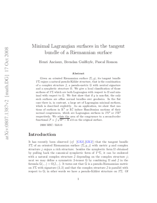 (PDF) Minimal Lagrangian surfaces in the tangent bundle of a Riemannian surface