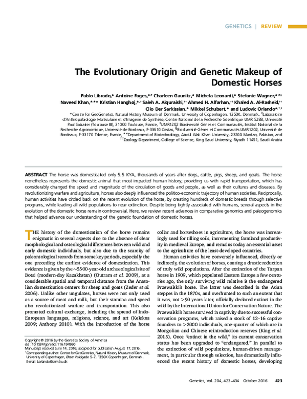(PDF) The Evolutionary Origin and Genetic Makeup of Domestic Horses