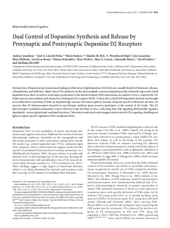 (PDF) Dual Control of Dopamine Synthesis and Release by Presynaptic and ...