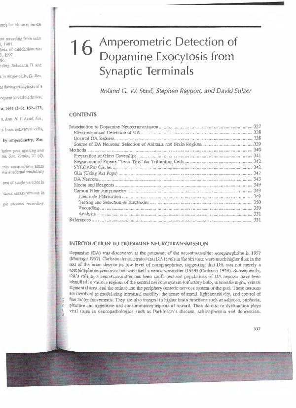 (PDF) Amperometric Detection of Dopamine Exocytosis from Synaptic Terminals