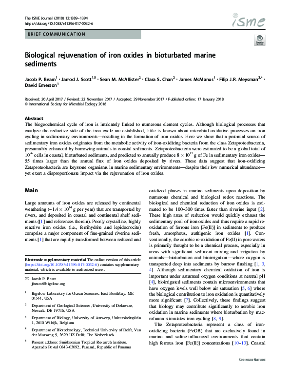 (PDF) Biological rejuvenation of iron oxides in bioturbated marine ...