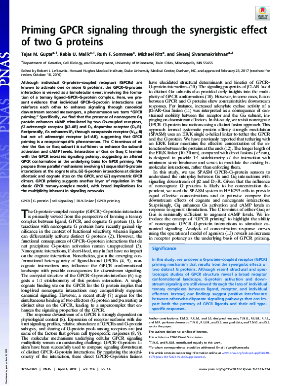 (PDF) Priming GPCR signaling through the synergistic effect of two G ...