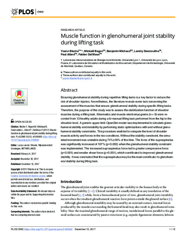 (PDF) Muscle function in glenohumeral joint stability during lifting task