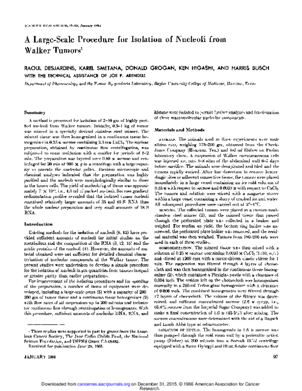 (PDF) A large scale procedure for isolation of nucleoli from rat liver