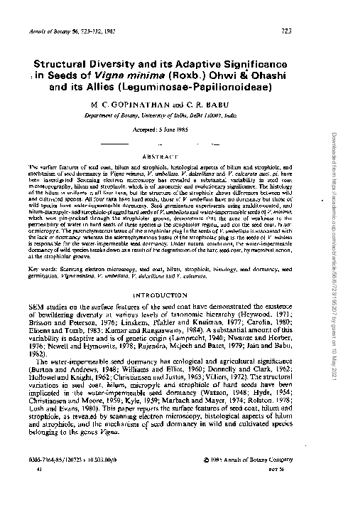 (PDF) Structural Diversity and its Adaptive Significancein Seeds of ...