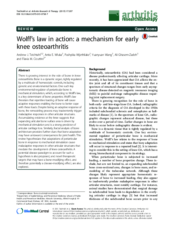 (PDF) Wolff’s law in action: a mechanism for early knee osteoarthritis