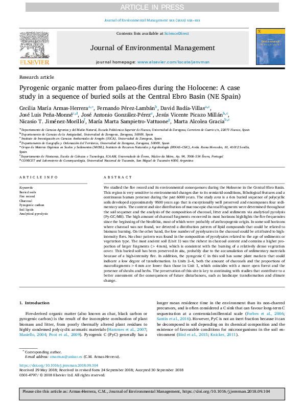(PDF) Pyrogenic organic matter from palaeo-fires during the Holocene: A ...