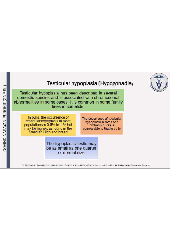 (PDF) Testicular Hypoplasia