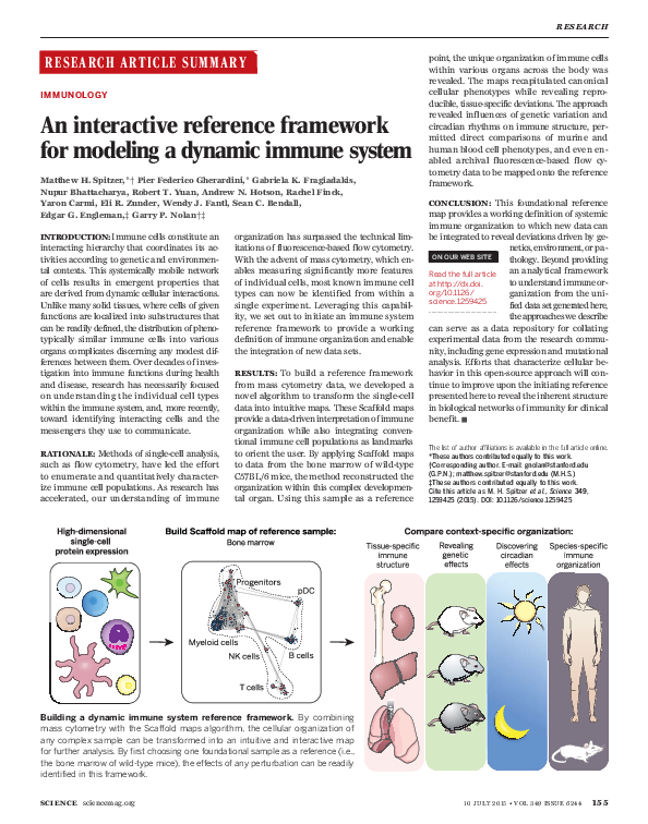 (PDF) IMMUNOLOGY. An interactive reference framework for modeling a ...