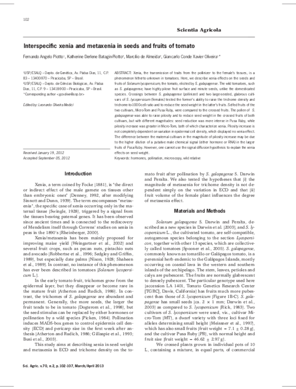 (PDF) Interspecific xenia and metaxenia in seeds and fruits of tomato