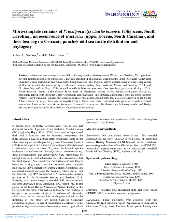 (PDF) More-complete remains of Procolpochelys charlestonensis ...