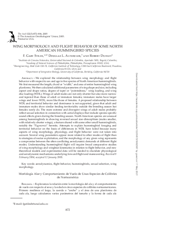(PDF) Wing Morphology and Flight Behavior of Some North American ...