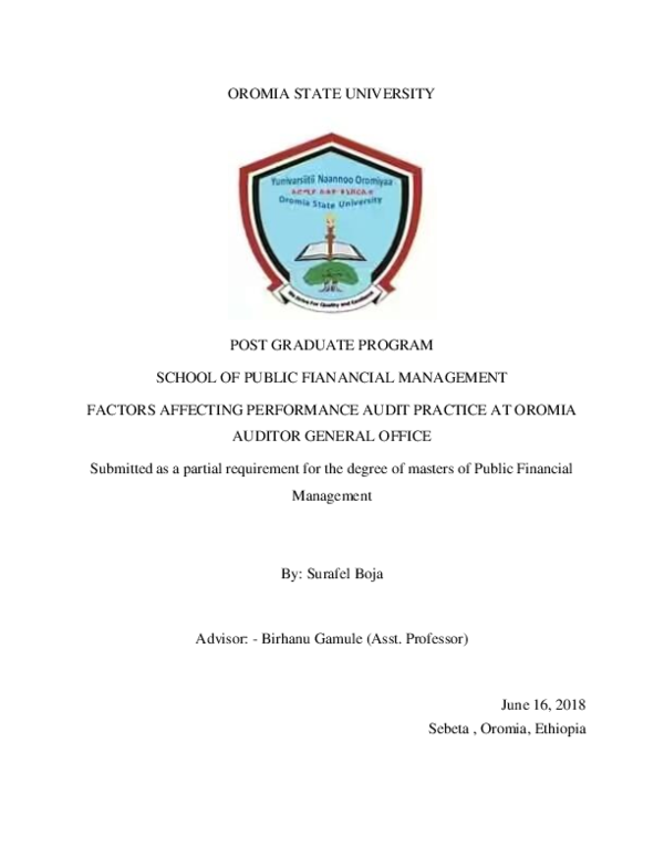 (PDF) Surafel Boja Thesis on Performance Audit-converted