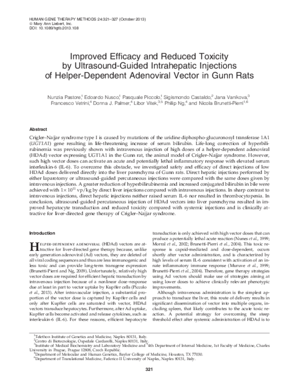 (PDF) Improved Efficacy and Reduced Toxicity by Ultrasound-Guided ...