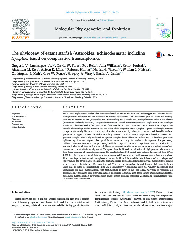 (PDF) The phylogeny of extant starfish (Asteroidea: Echinodermata ...