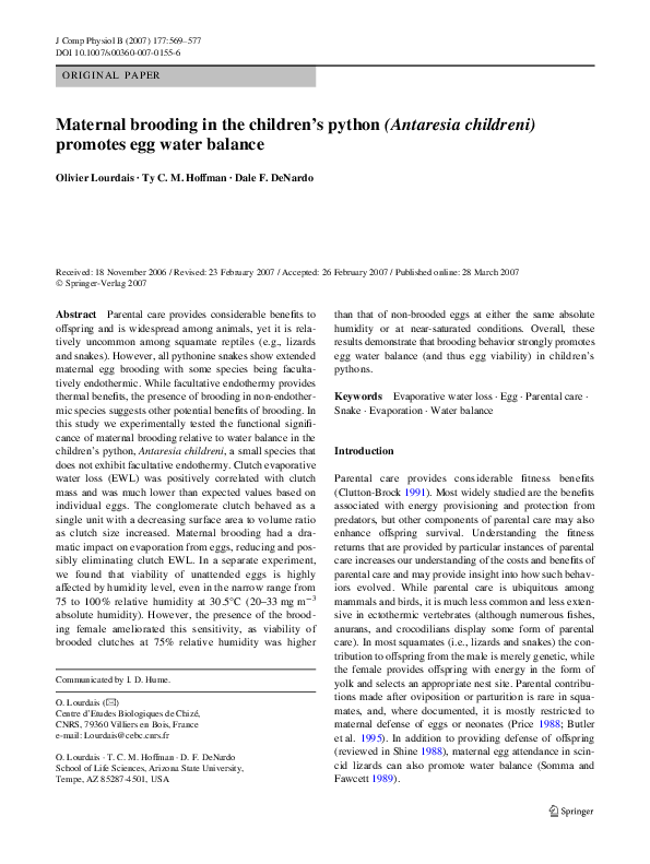 (PDF) Maternal brooding in the children’s python (Antaresia childreni ...