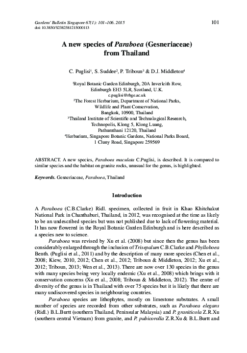 (PDF) A new species of Paraboea (Gesneriaceae) from Thailand