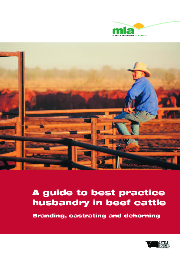 (PDF) A guide to best practice husbandry in beef cattle