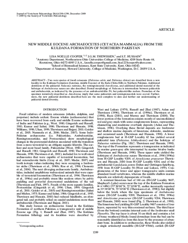 (PDF) New middle Eocene archaeocetes (Cetacea: Mammalia) from the ...