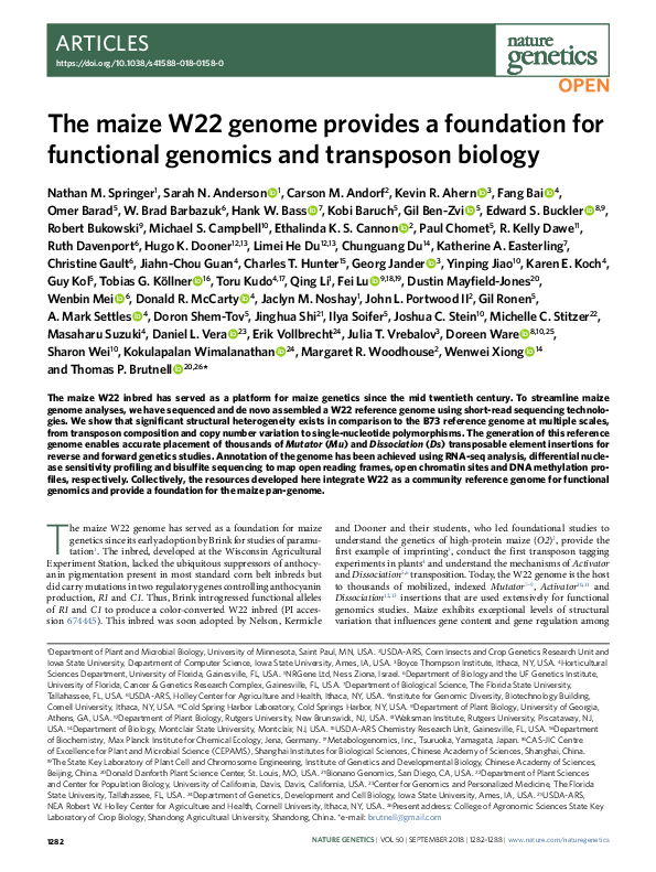 (PDF) The maize W22 genome provides a foundation for functional ...