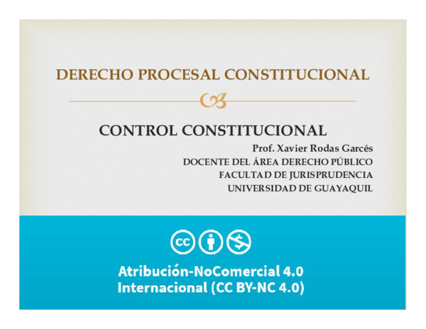 (PDF) DERECHO PROCESAL CONSTITUCIONAL: CONTROL CONSTITUCIONAL