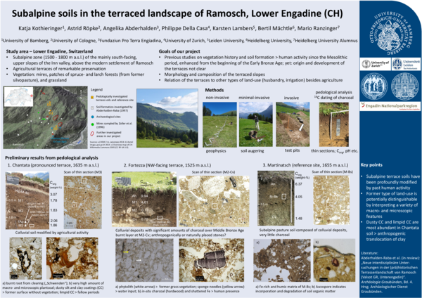 (PDF) Subalpine soils in the terraced landscape of Ramosch, Lower ...