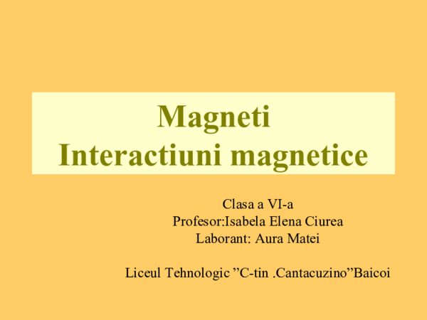 (PPT) Magneti Interactiuni magnetice