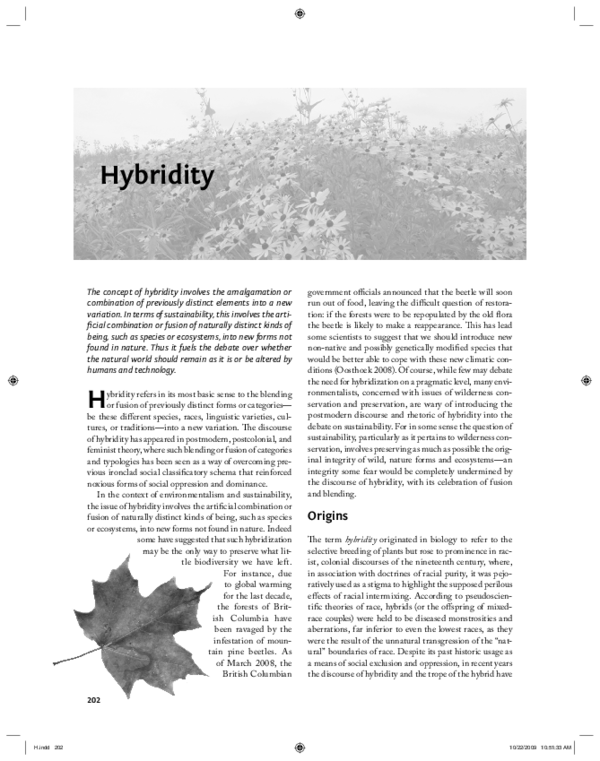 (PDF) Hybridity