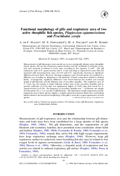 (PDF) Functional morphology of gills and respiratory area of two active ...