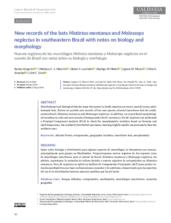 (PDF) New records of the bats Histiotus montanus and Molossops ...