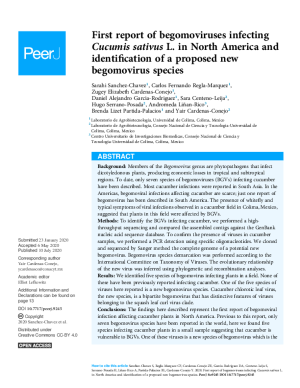 (PDF) First report of begomoviruses infecting Cucumis sativus L. in ...
