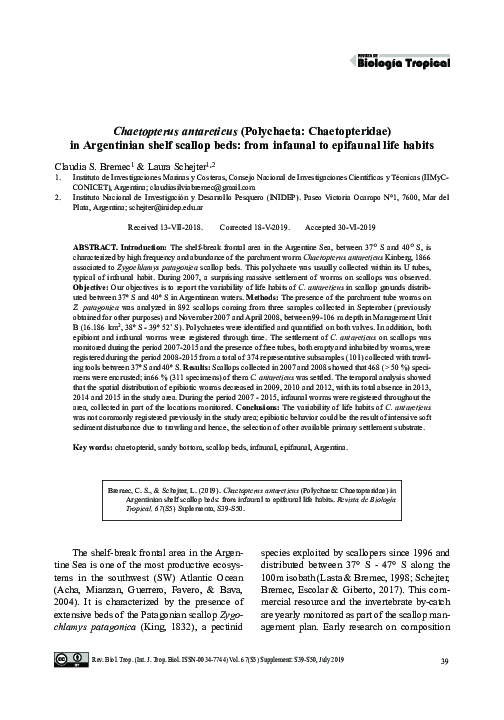 (PDF) Chaetopterus antarcticus (Polychaeta: Chaetopteridae) in ...