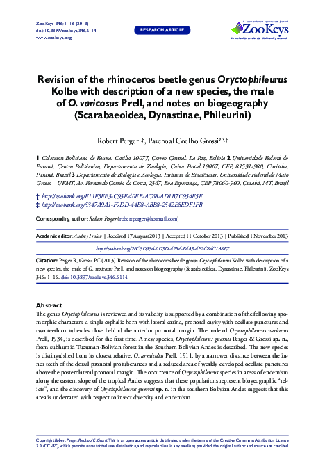 (PDF) Revision of the rhinoceros beetle genus Oryctophileurus Kolbe ...