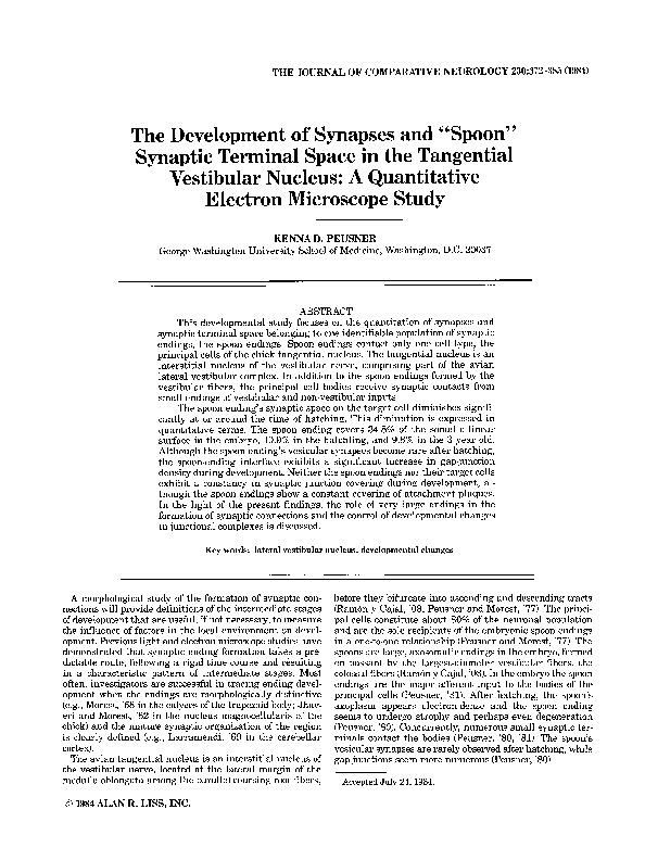 (PDF) The development of synapses and ?spoon? synaptic terminal space ...