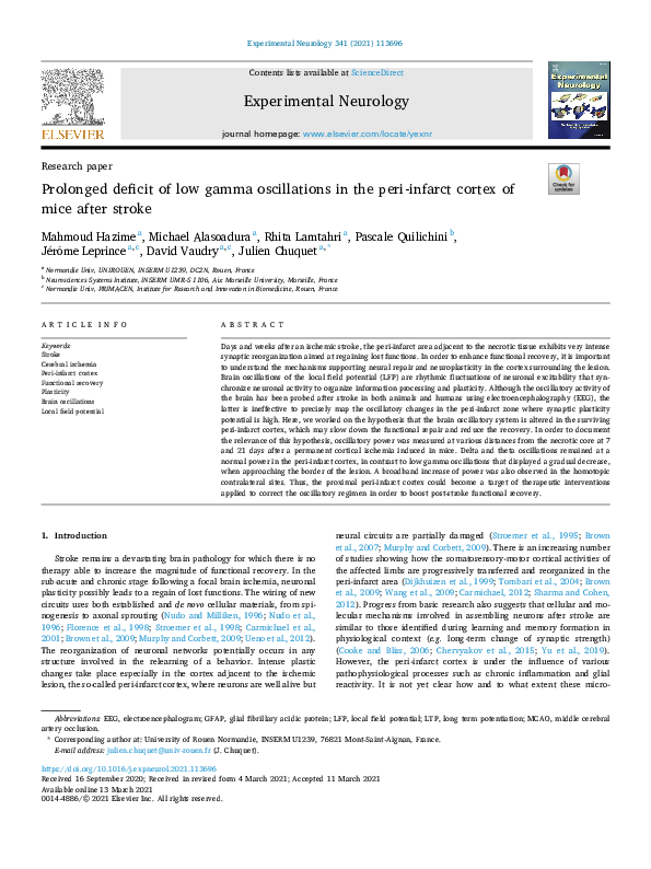 (PDF) Prolonged deficit of low gamma oscillations in the peri infarct ...