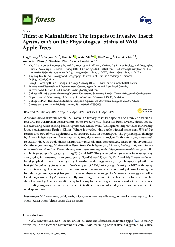 (PDF) Thirst or Malnutrition: The Impacts of Invasive Insect Agrilus ...