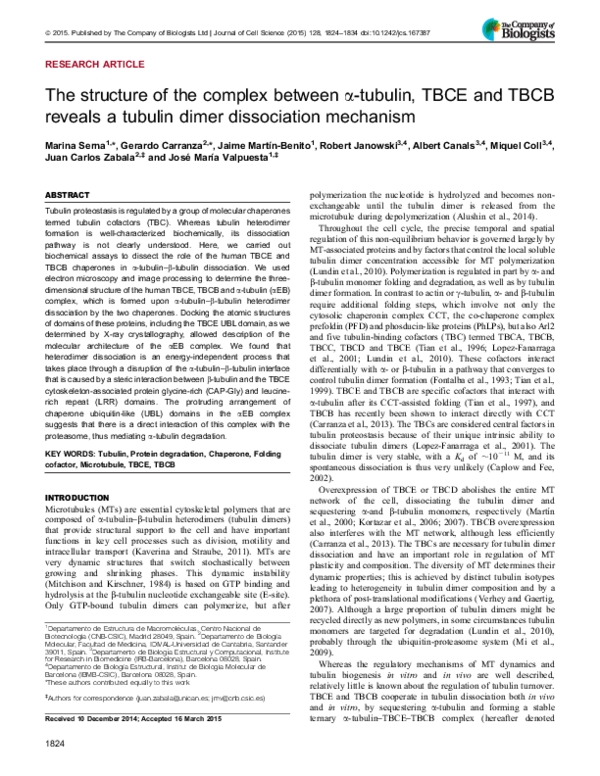 (PDF) The structure of the TBCE/TBCB chaperones and α-tubulin complex ...