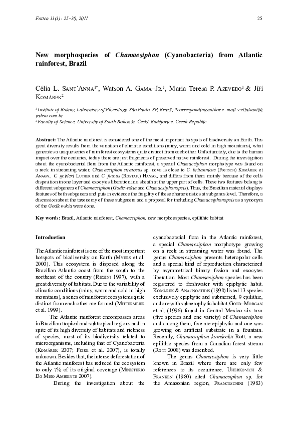 (PDF) New morphospecies of Chamaesiphon (Cyanobacteria) from Atlantic ...