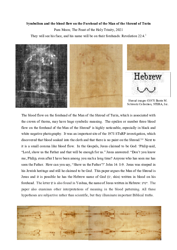(PDF) Symbolism and blood flow on the forehead of the Man of the Shroud ...