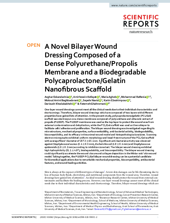 (PDF) A Novel Bilayer Wound Dressing Composed of a Dense Polyurethane ...