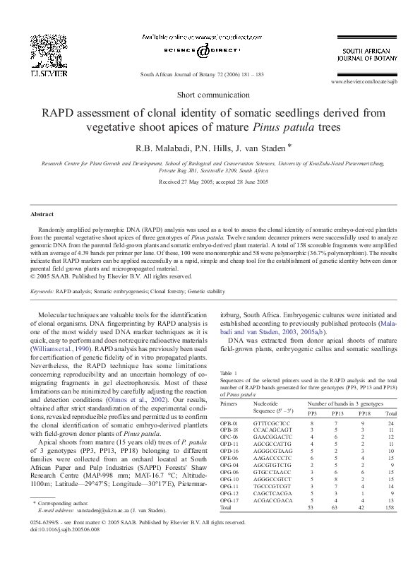 (PDF) RAPD assessment of clonal identity of somatic seedlings derived ...