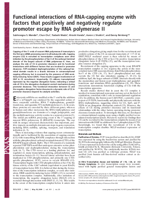 (PDF) Functional interactions of RNA-capping enzyme with factors that ...