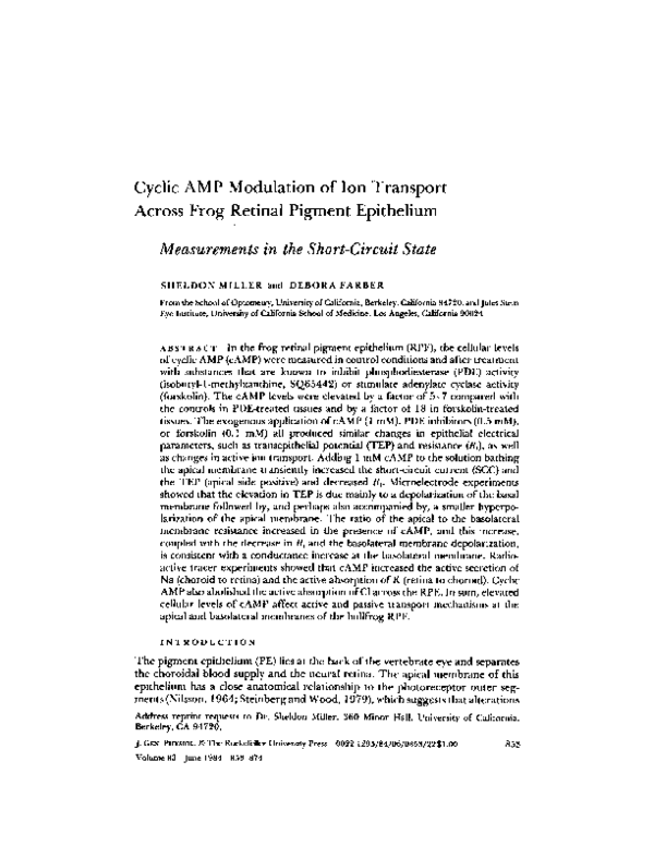 (PDF) Cyclic AMP modulation of ion transport across frog retinal ...