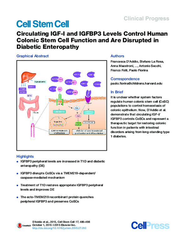 (PDF) Circulating IGF-I and IGFBP3 Levels Control Human Colonic Stem ...