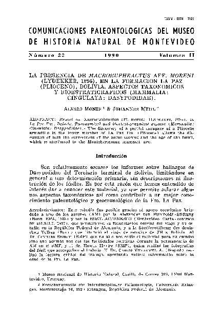 (PDF) La presencia de Macroeuphractus aff. moreni (Lydekker, 1895), en ...